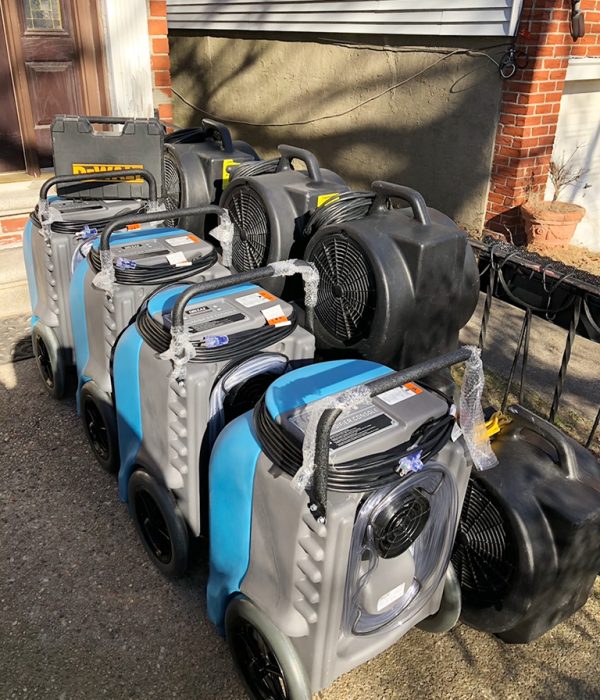 Green Guard Mold – Certified Mold Removal & Remediation Specialist ...